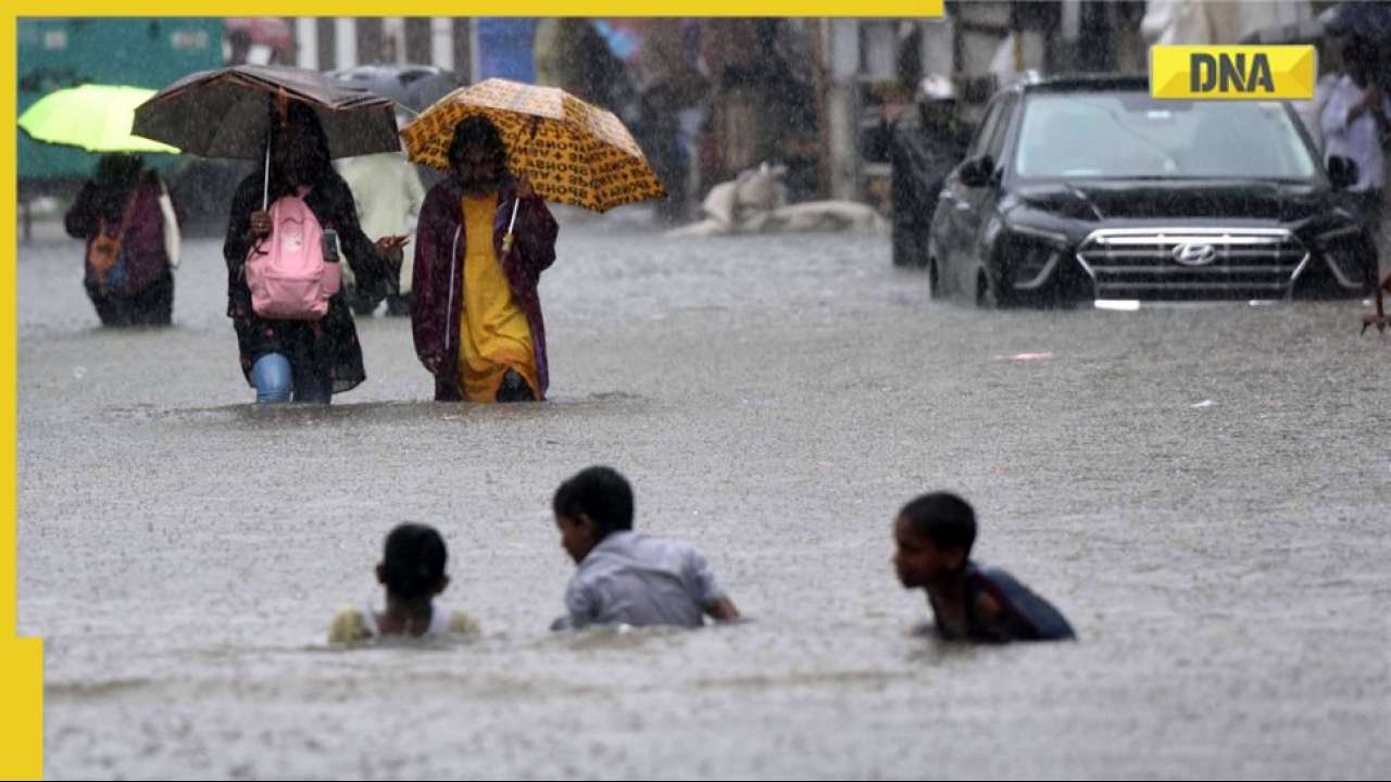Maharashtra: 24 NDRF, SDRF teams deployed as rain engulfs Mumbai, Thane, Kolhapur