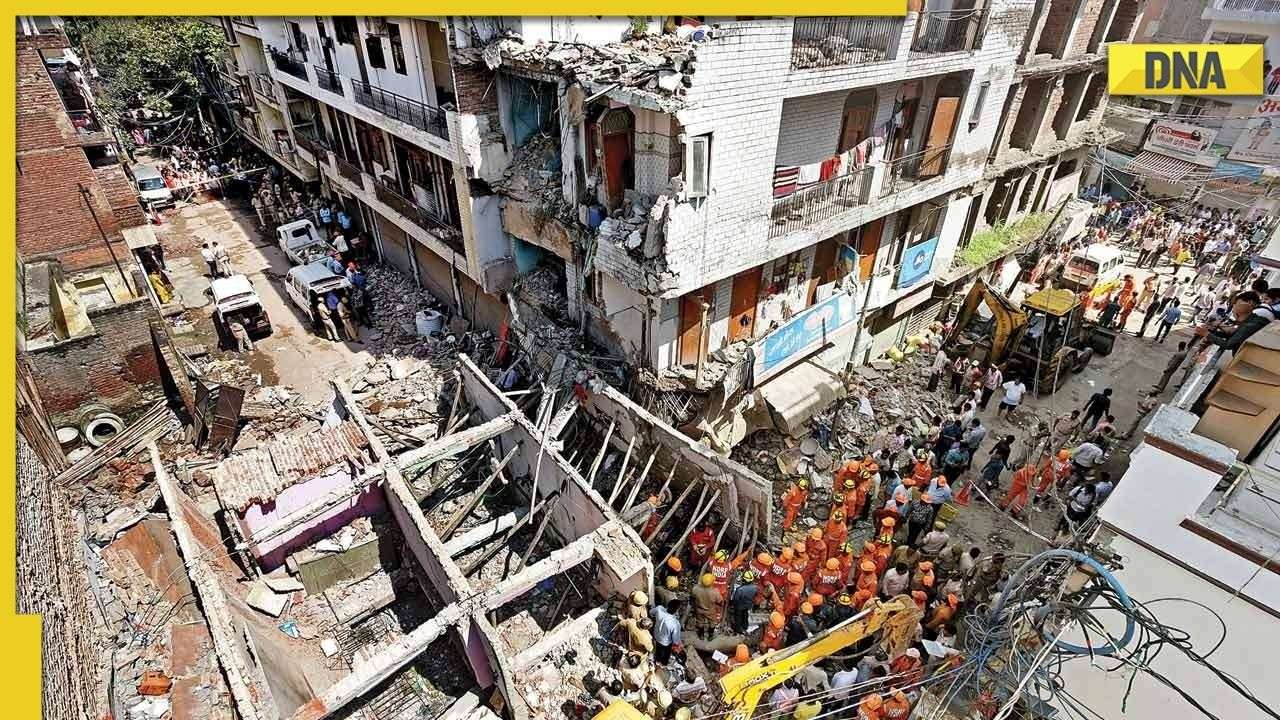 MCD survey: Know which part of Delhi has maximum number of dangerous ...