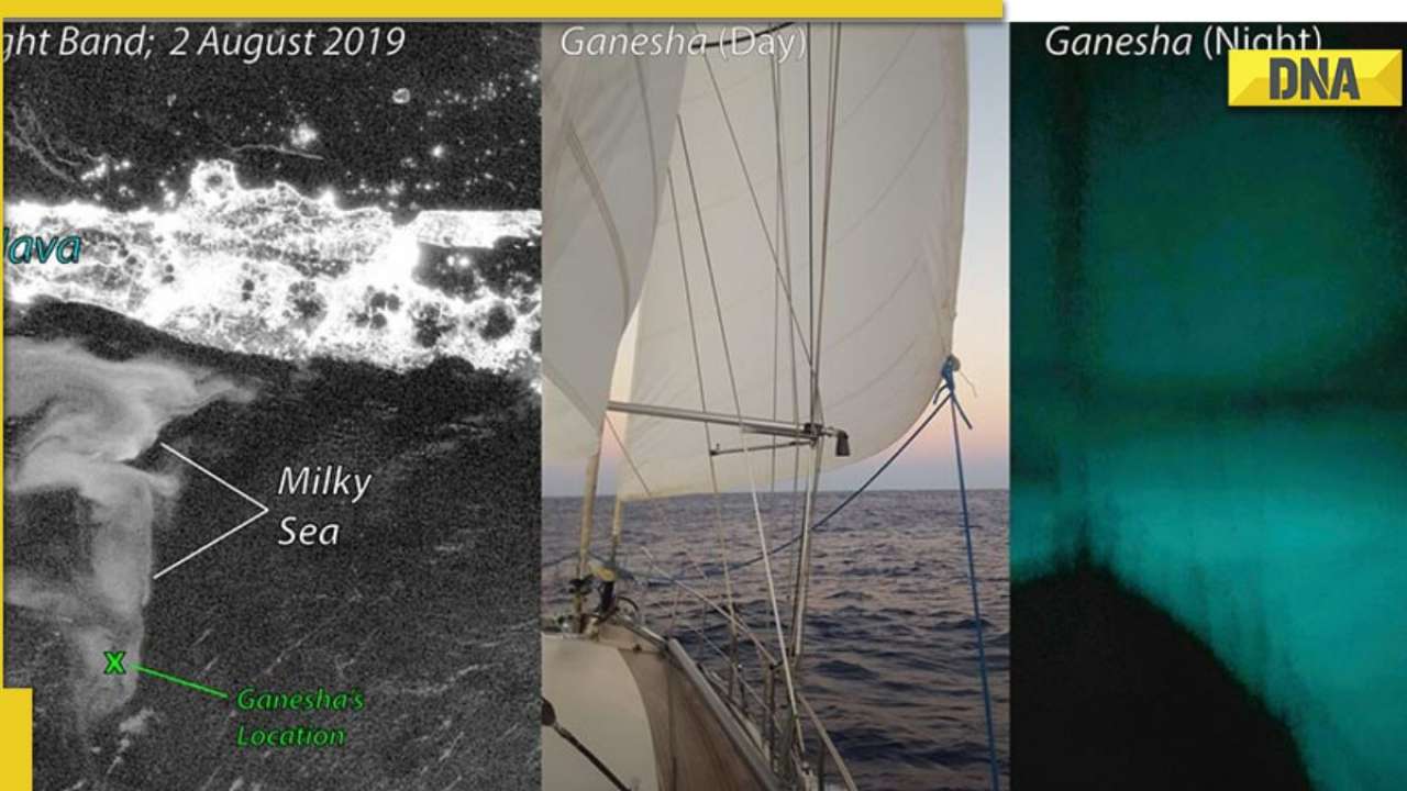 First image of mysterious 'milky sea' surfaces; know what causes the ...