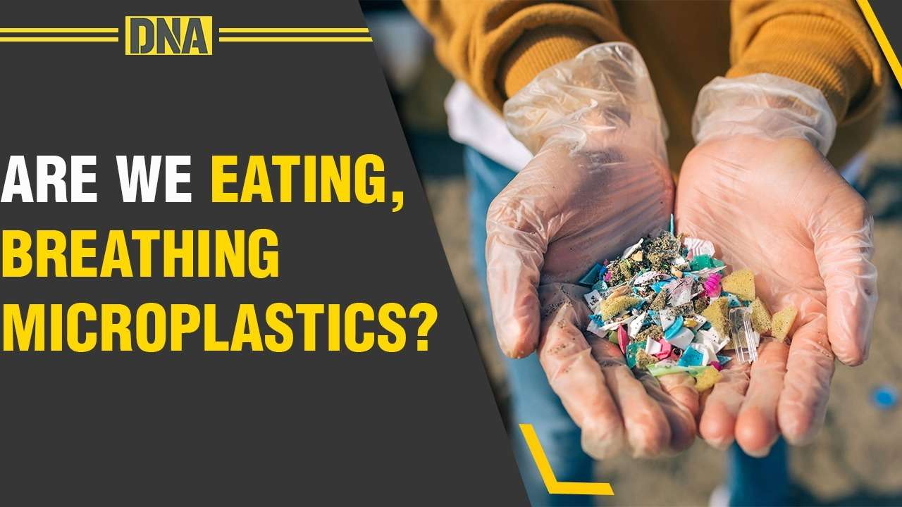 DNA Explainer: Are Human beings eating and drinking Microplastic and ...