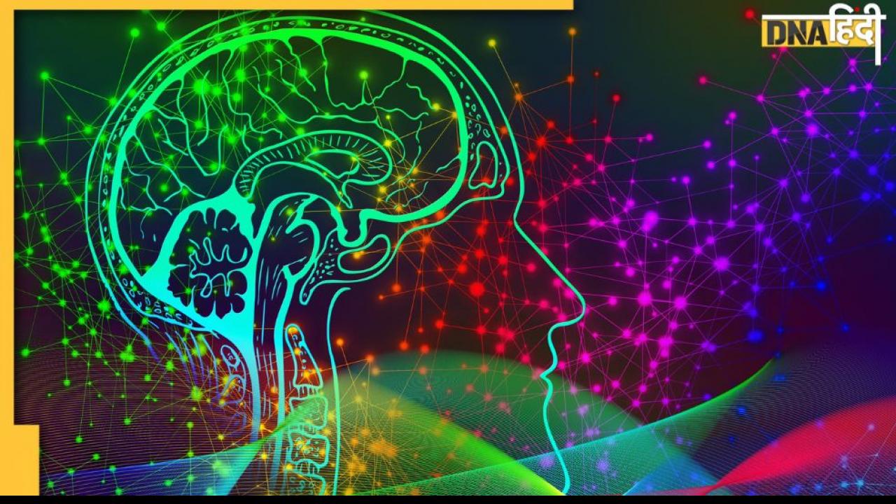 Memory Gain Tips: खाएंगे घर में ही मिल जाने वाली ये 5 चीज़ें तो मेमोरी ...