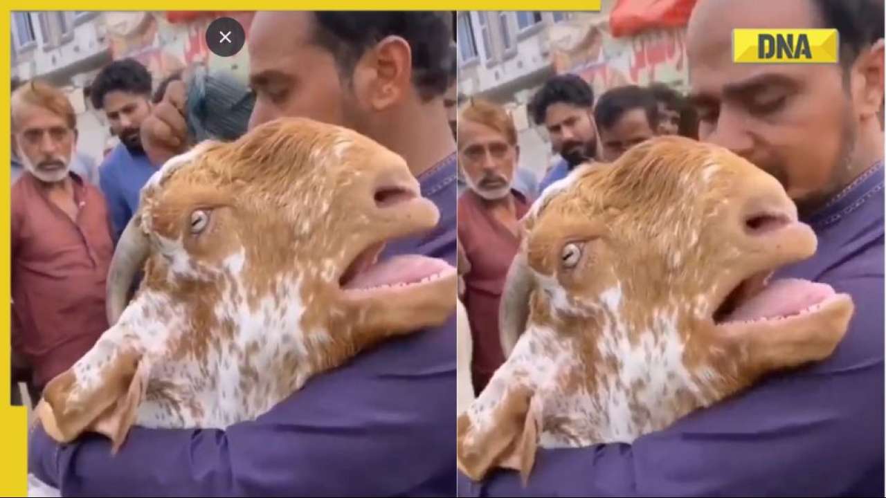 Goat being sold hugs owner, weeps like human in heartbreaking viral video