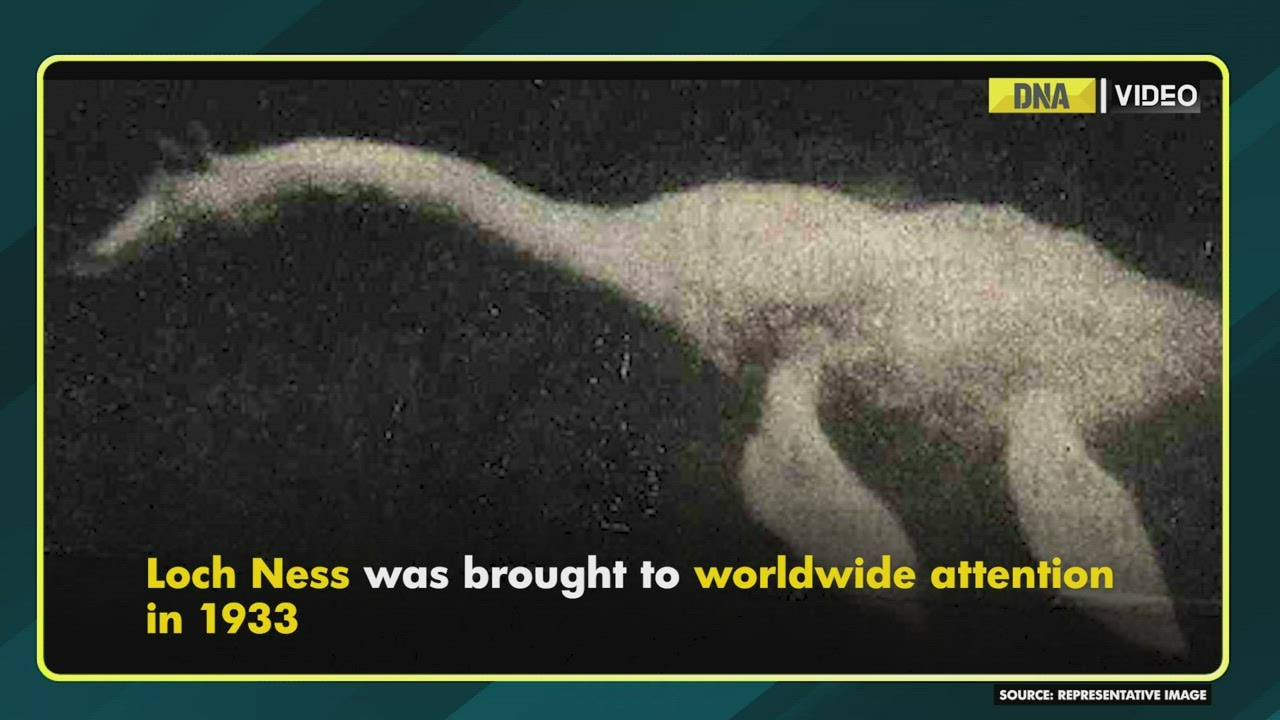 Fossil discovery in freshwater river bed: What do we know about Loch ...