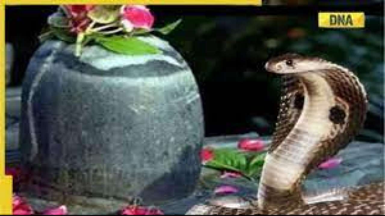 Nag Panchami 2022: Do's and Don’ts while worshipping Nag Devta during Sawan