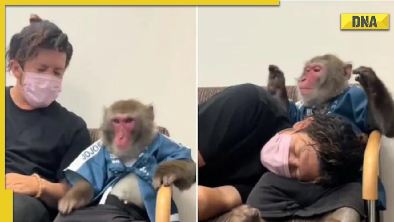 Viral Video: Man breaks down, monkey comforts in lap