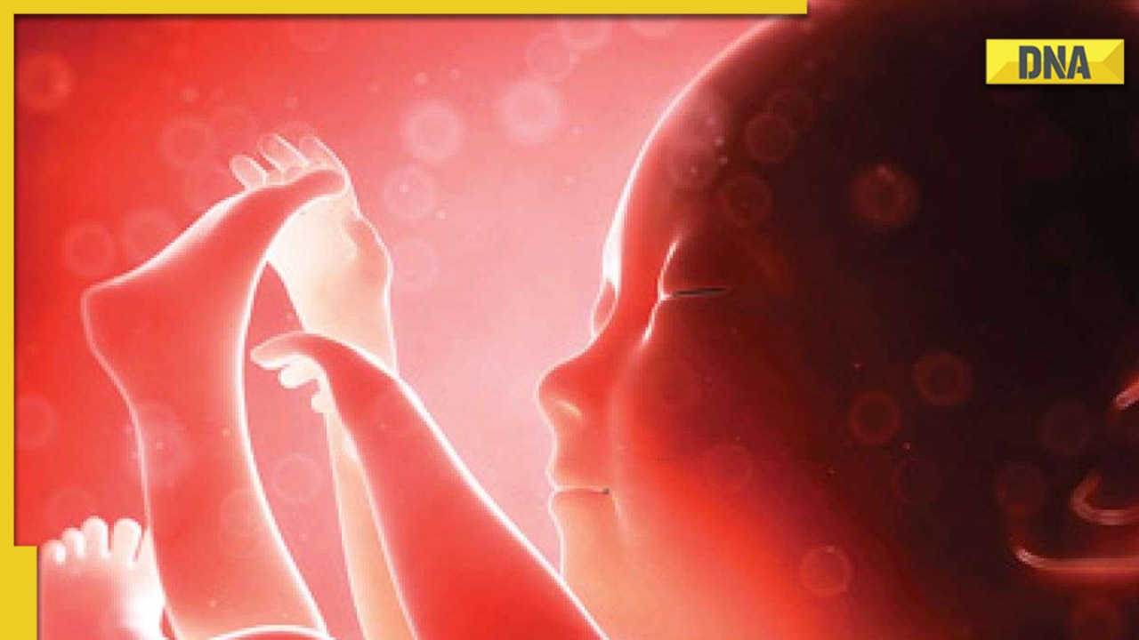 World’s first ‘synthetic embryo’ developed without sperm or egg: Know ...