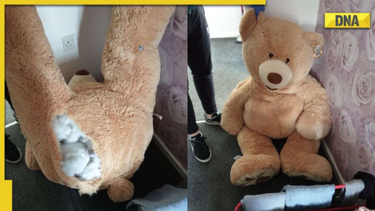 UK police caught thief hiding inside teddy bear, netizens react to ...