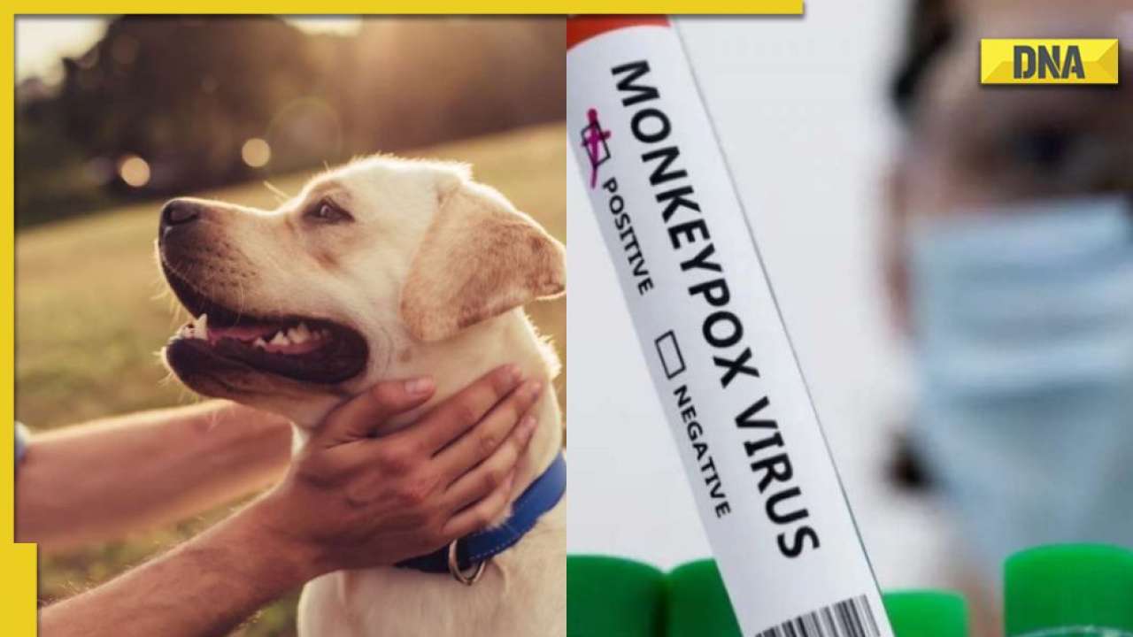 Are pets at risk of getting monkeypox? Health expert has this to say