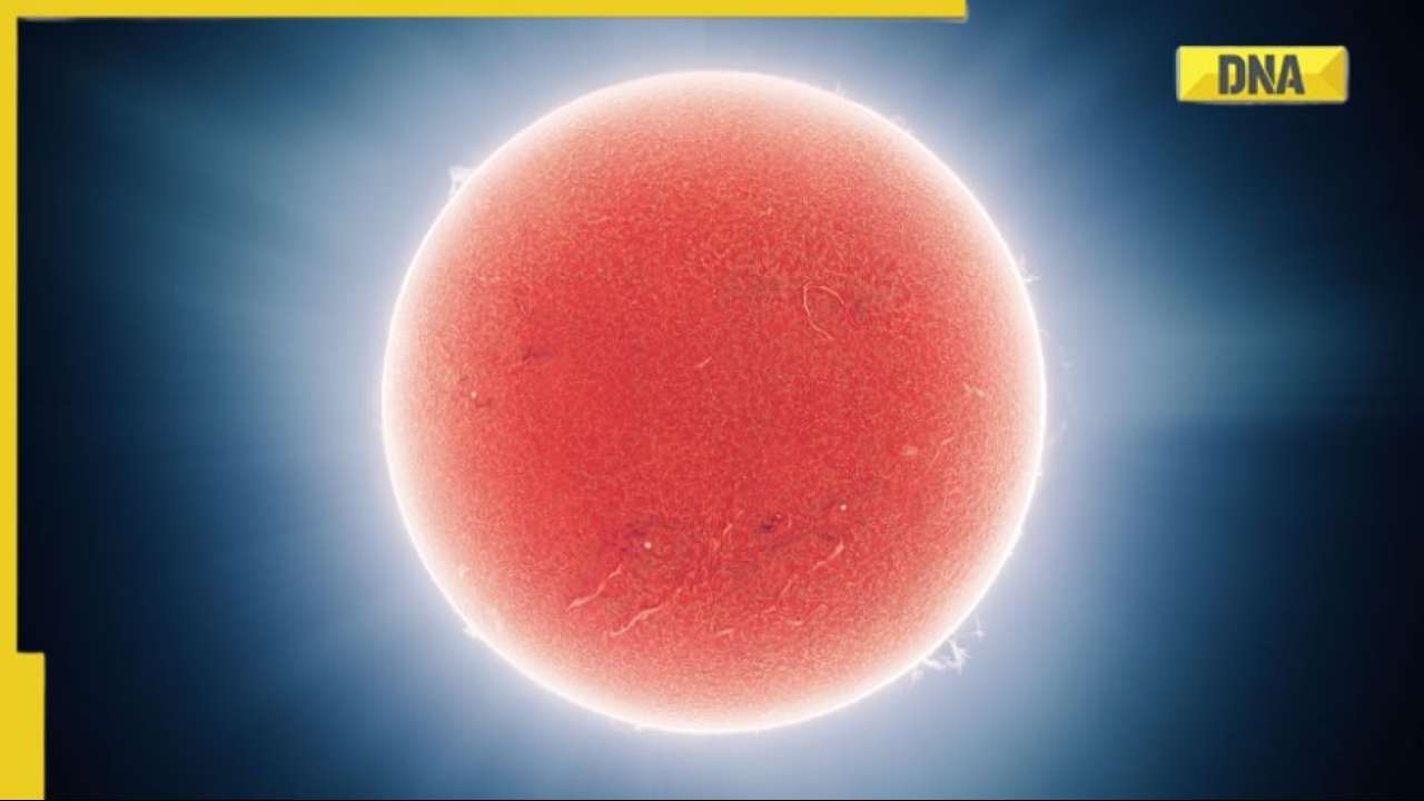 '145 megapixel' image of Sun: Reddit user shares high-quality photo of ...