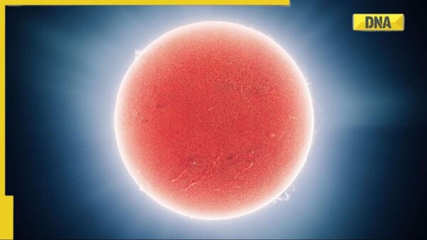 '145 megapixel' image of Sun: Reddit user shares high-quality photo of ...