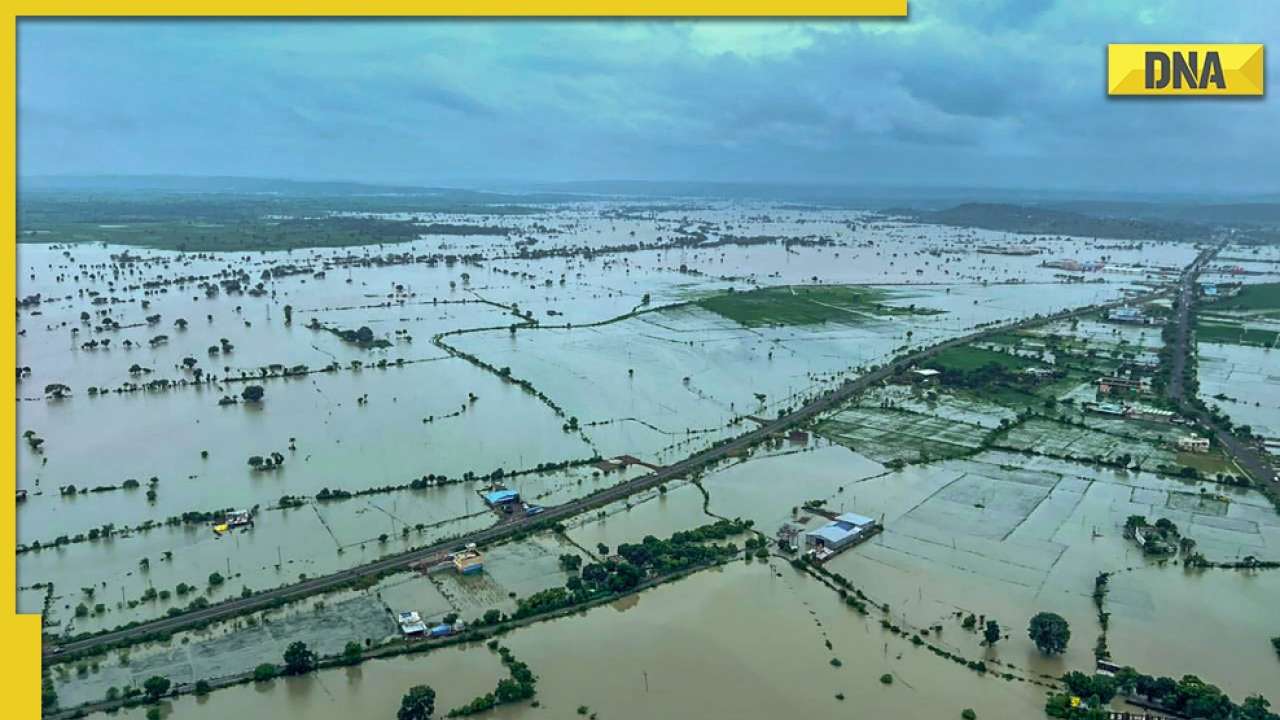 Madhya Pradesh weather update: 2,100 people rescued, 4,300 shifted from ...