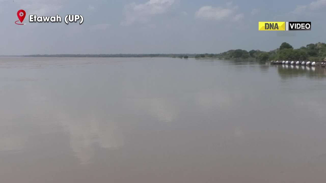 Chambal river swells after release of water from Kota Barrage