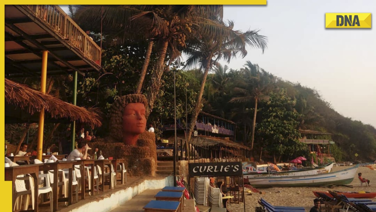 Sonali Phogat’s death, Scarlett Keeling case, Drug bust: Goa’s 'Curlies ...