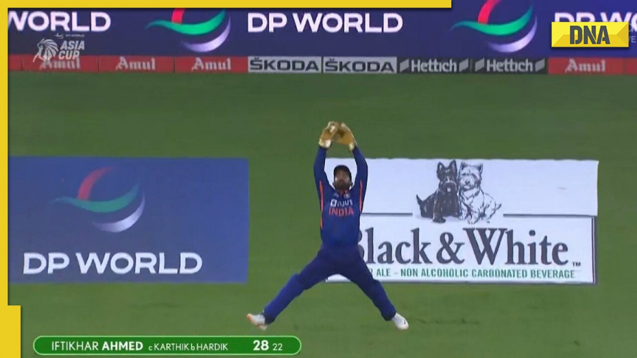 Ind vs Pak: Dinesh Karthik stretches full length to take a stunning ...