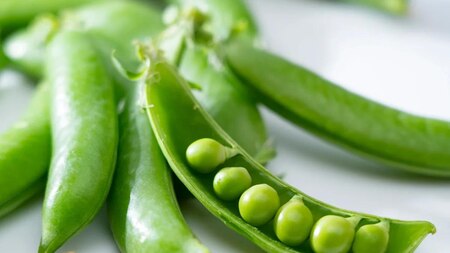 Top vegetarian proteins to help with diabetes and weight loss