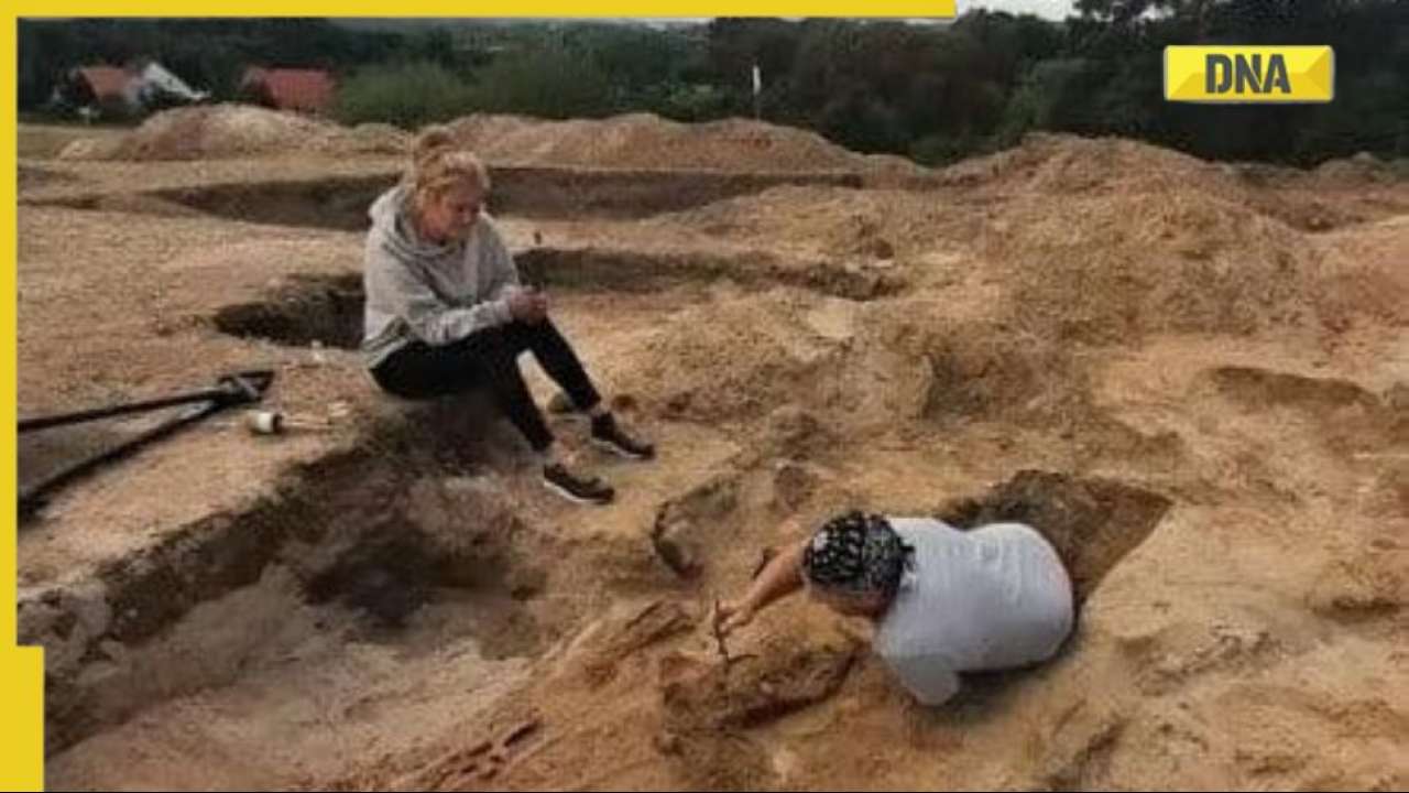 Remains of 17th-century 'vampire' discovered in Poland, social media ...