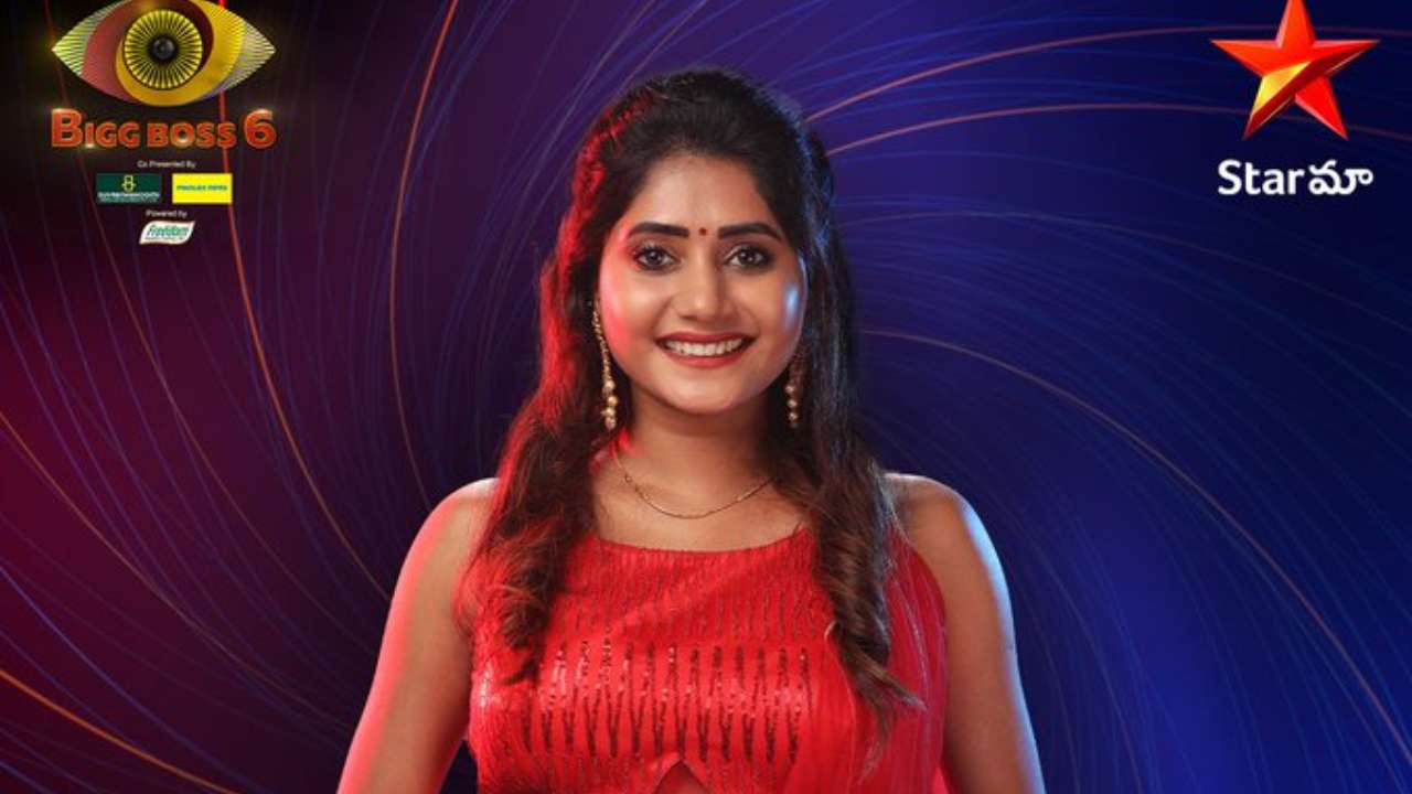 Bigg Boss Telugu season 6: Marina, Sudeepa, Adi Reddy, RJ Suriya - Meet ...