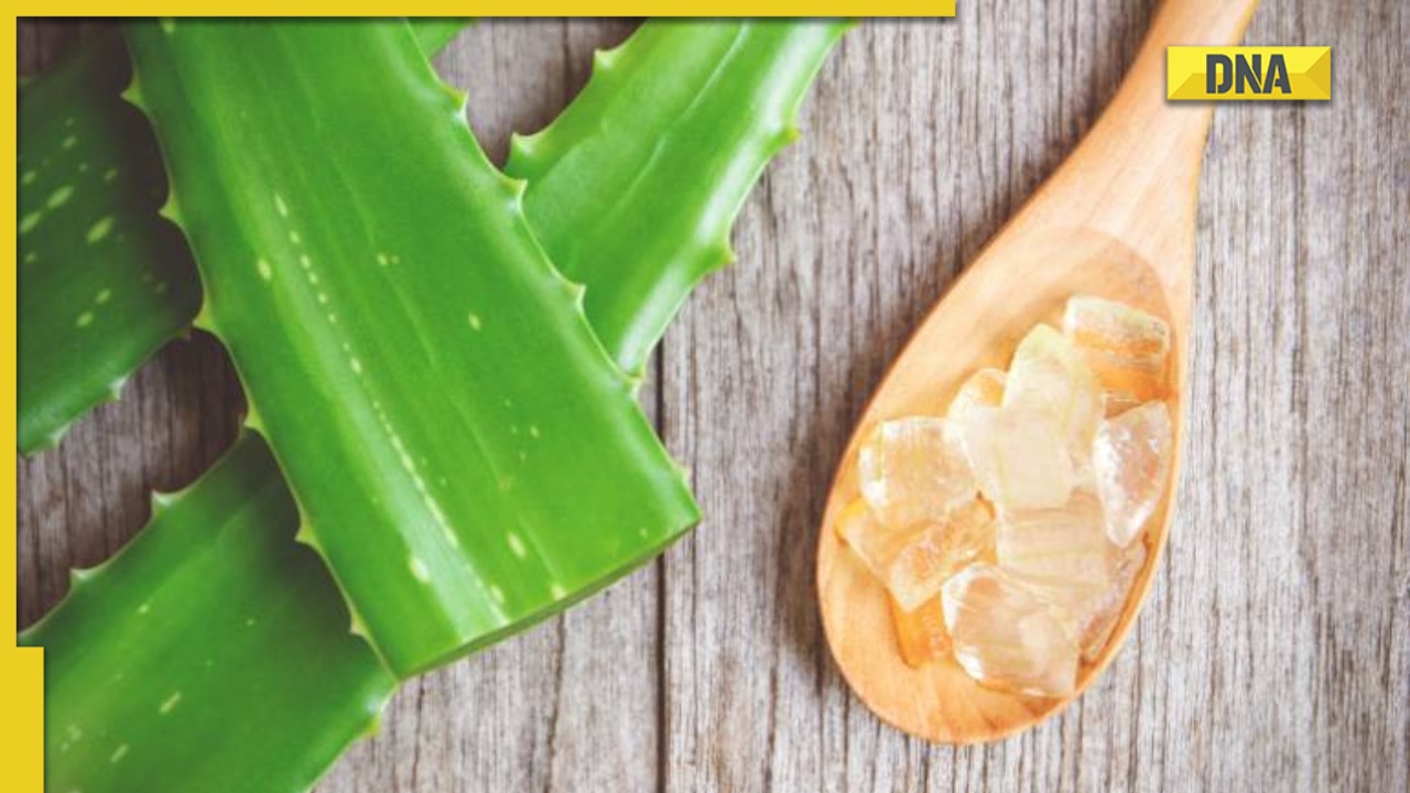 5 benefits of using aloe vera gel for skin