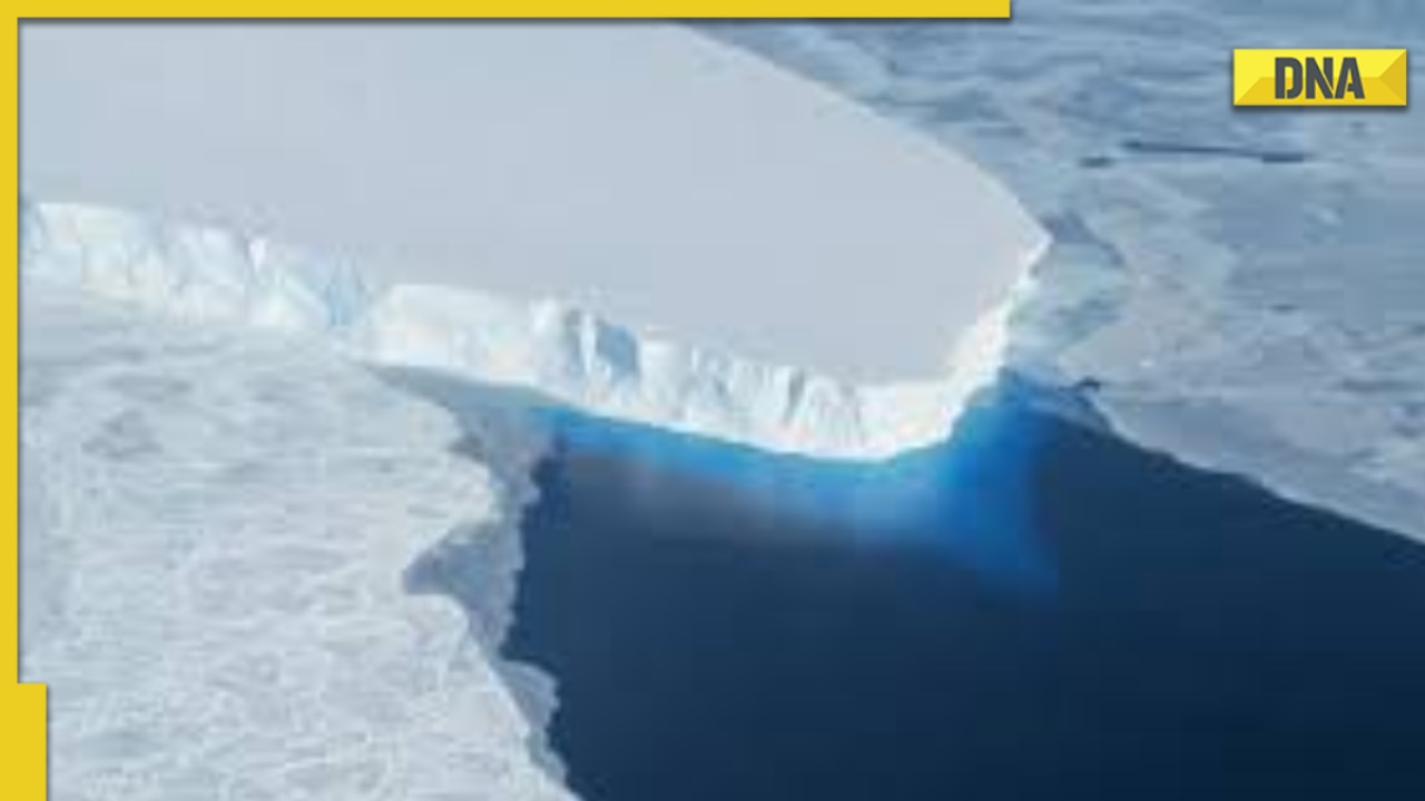 DNA Explainer: What is the 'doomsday glacier' in Antarctica? Know why ...