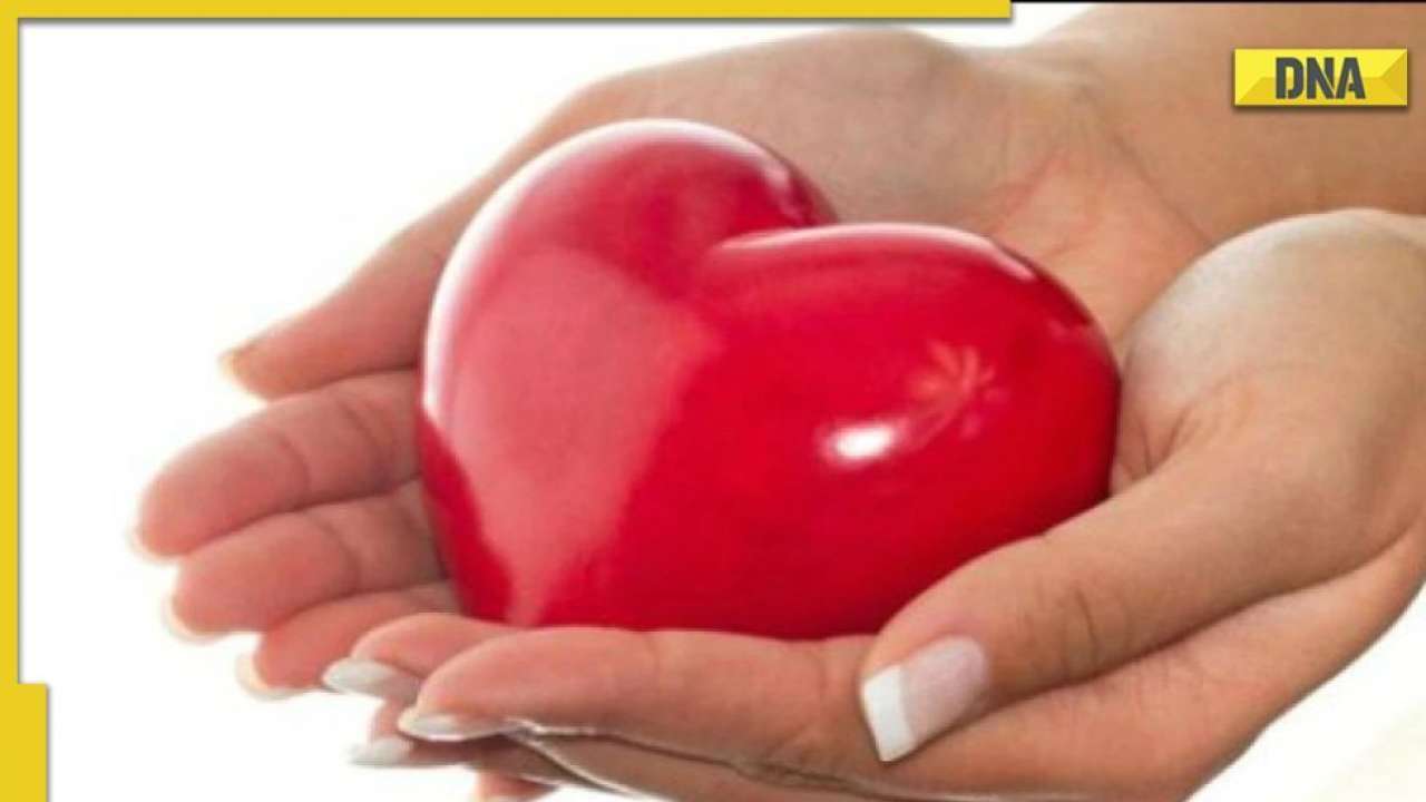 Healthy Heart Diet: 5 foods you should add to your diet for a healthy heart