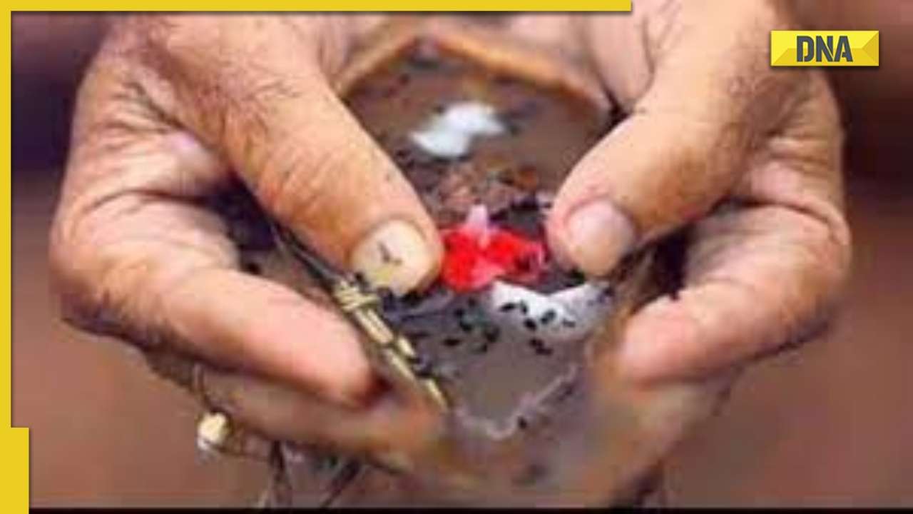 Pitru Paksha 2022: Know why performing `Pind Daan' in Bihar's Gaya is ...