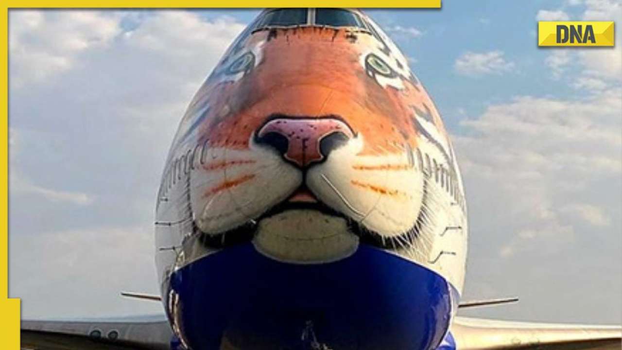 Cheetah returns to India: 70-year wait set to end, Kuno National Park ...