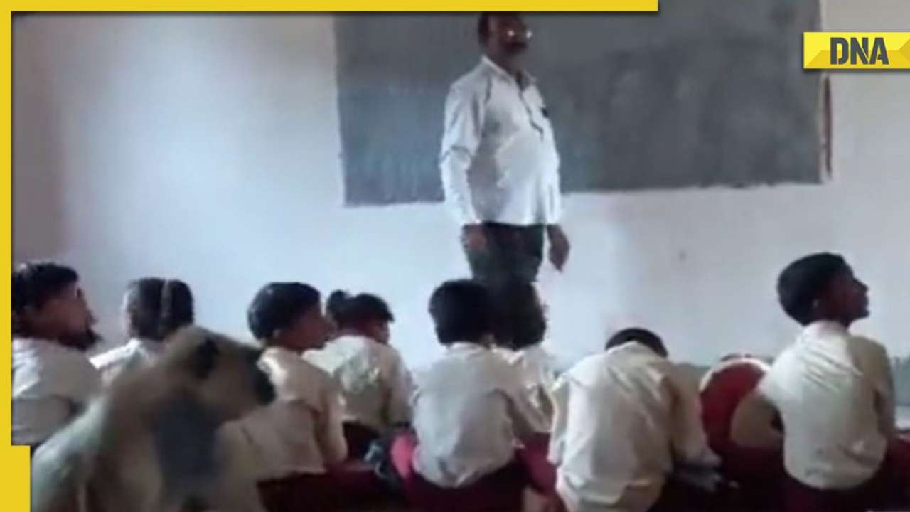 Monkey attends class with students in Jharkhand government school ...