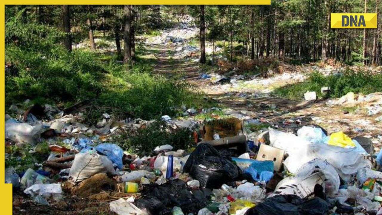 'Be a responsible tourist': IFS officer spreads awareness around forest ...