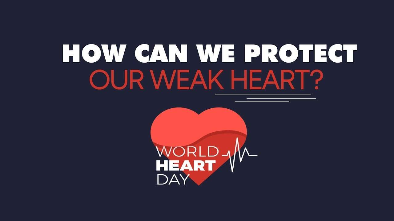 World Heart Day 2022: How to keep your heart healthy, doctor's guide to ...