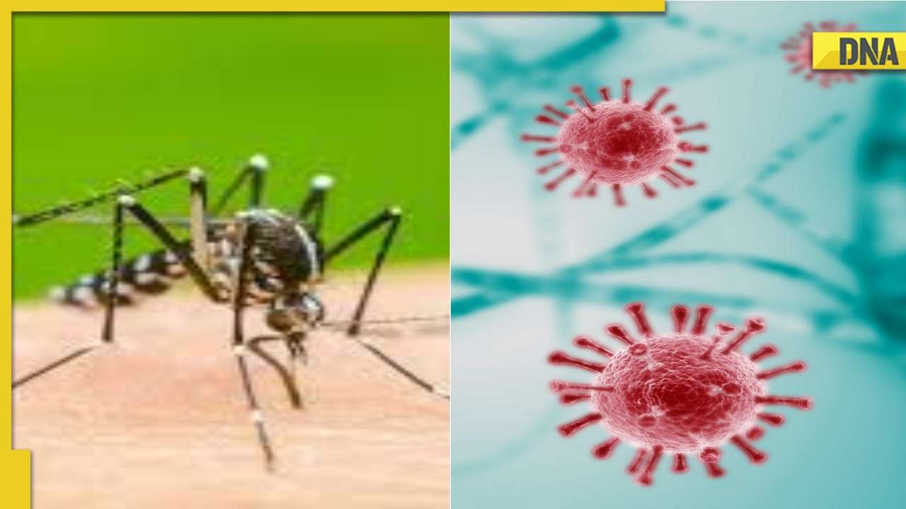 Covid or Dengue: How to identify overlapping symptoms?