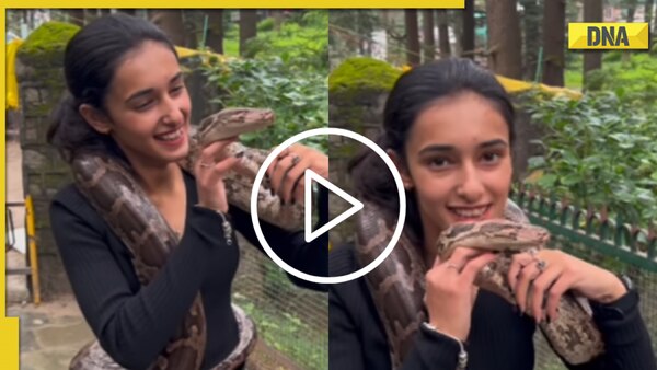 Girl kisses massive python in THIS hair-raising viral video; Internet ...