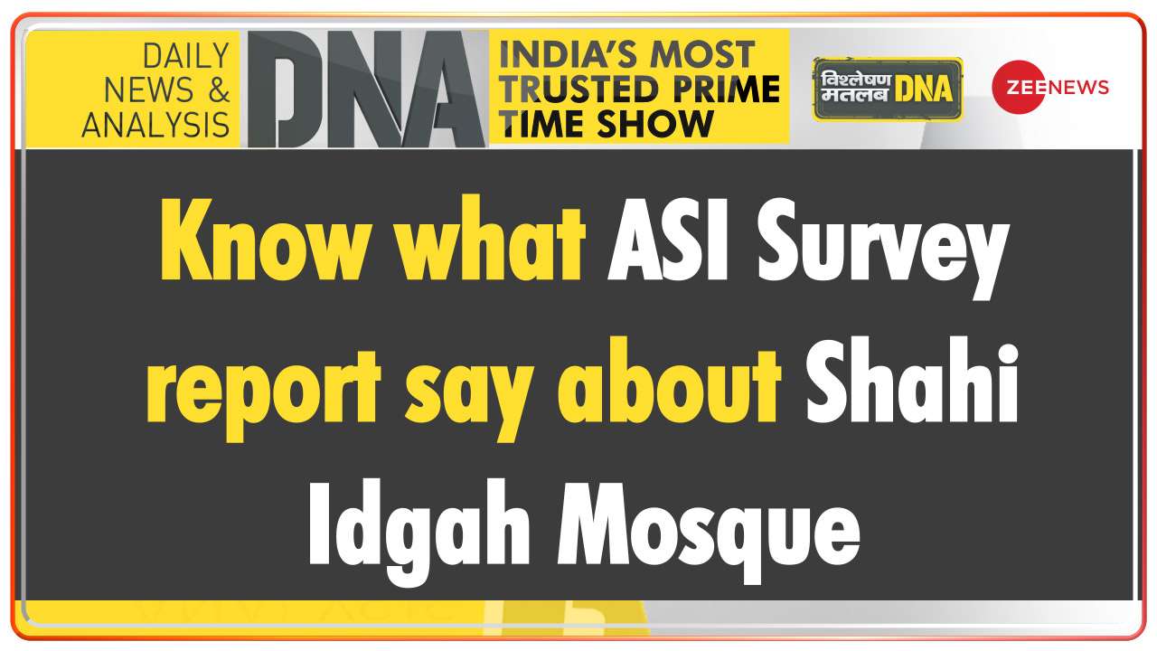 DNA | Krishna Janmabhoomi-Shahi Idgah Row: What does the ASI survey say?