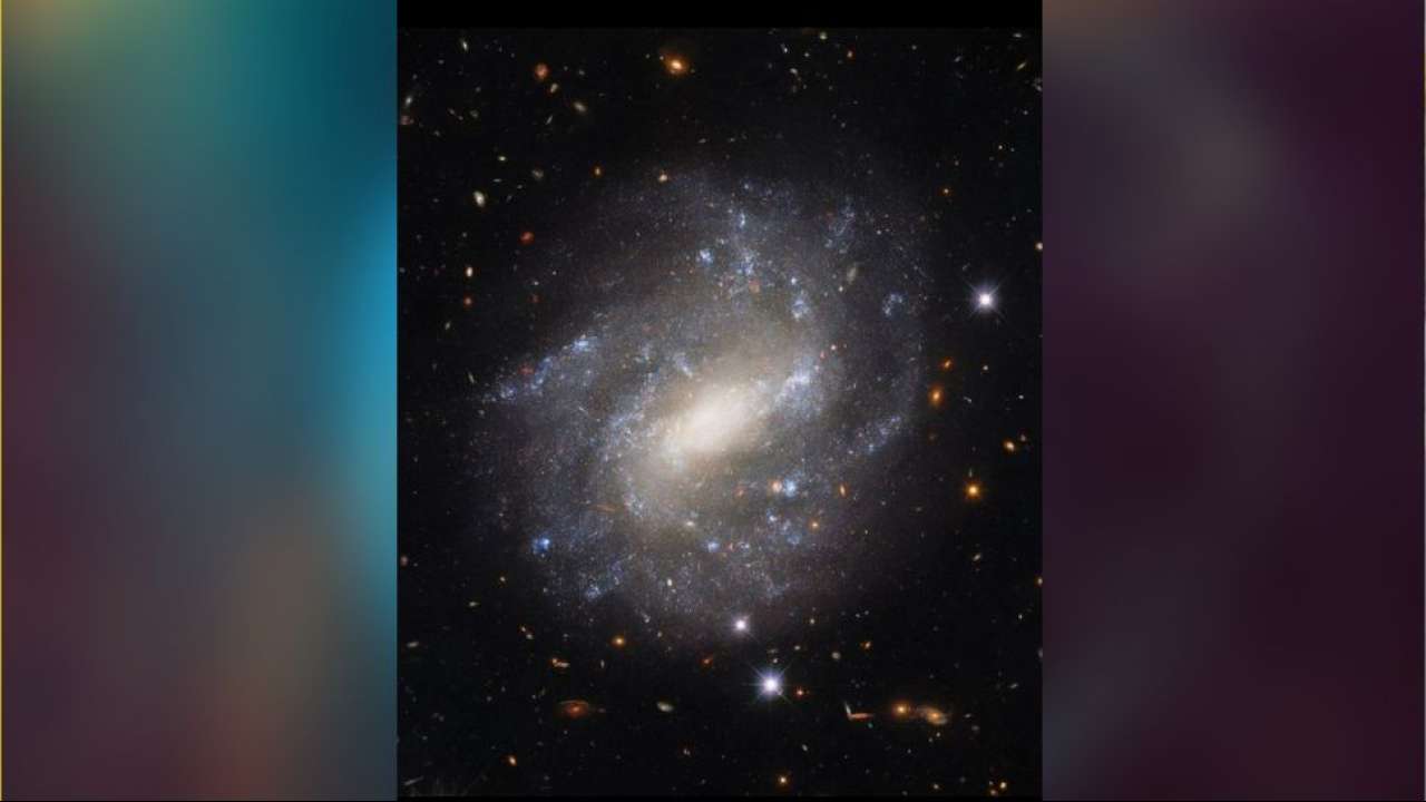 In Pics: From Stars to planets, watch some stunning photos taken by ...