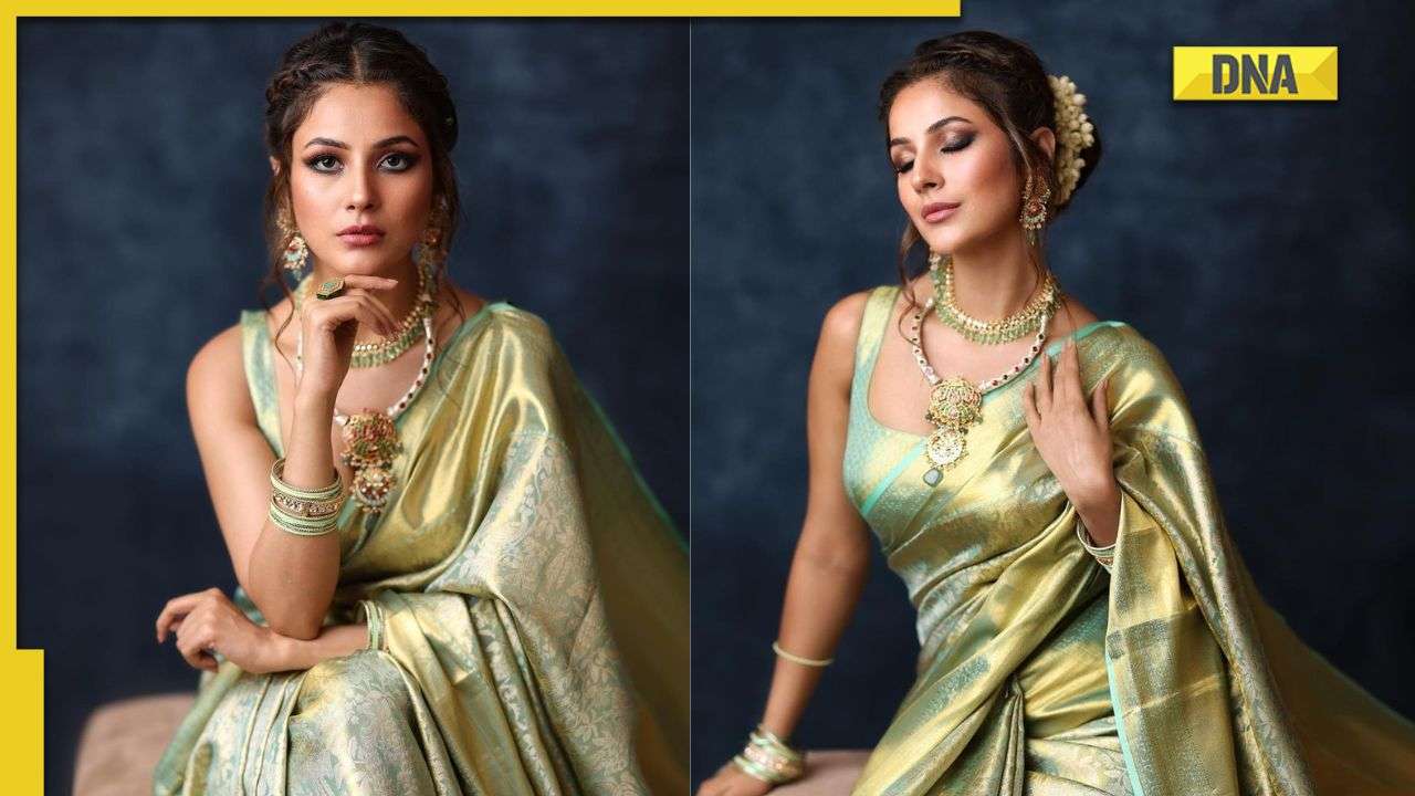 Shehnaaz Gill walks the red carpet in a beautiful Kanjivaram saree ...