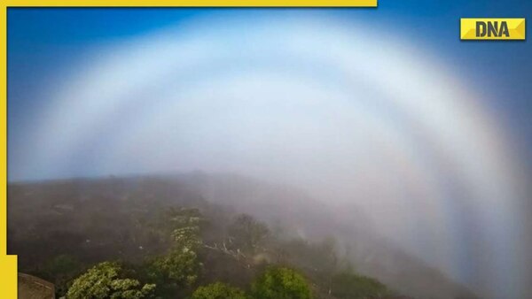 Photographer captures rare 'ghost' rainbow in US, viral pic leaves ...