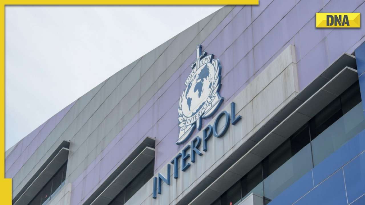 Over 7,000 people on Interpol radar, 2 out of 5 Russians; most ...