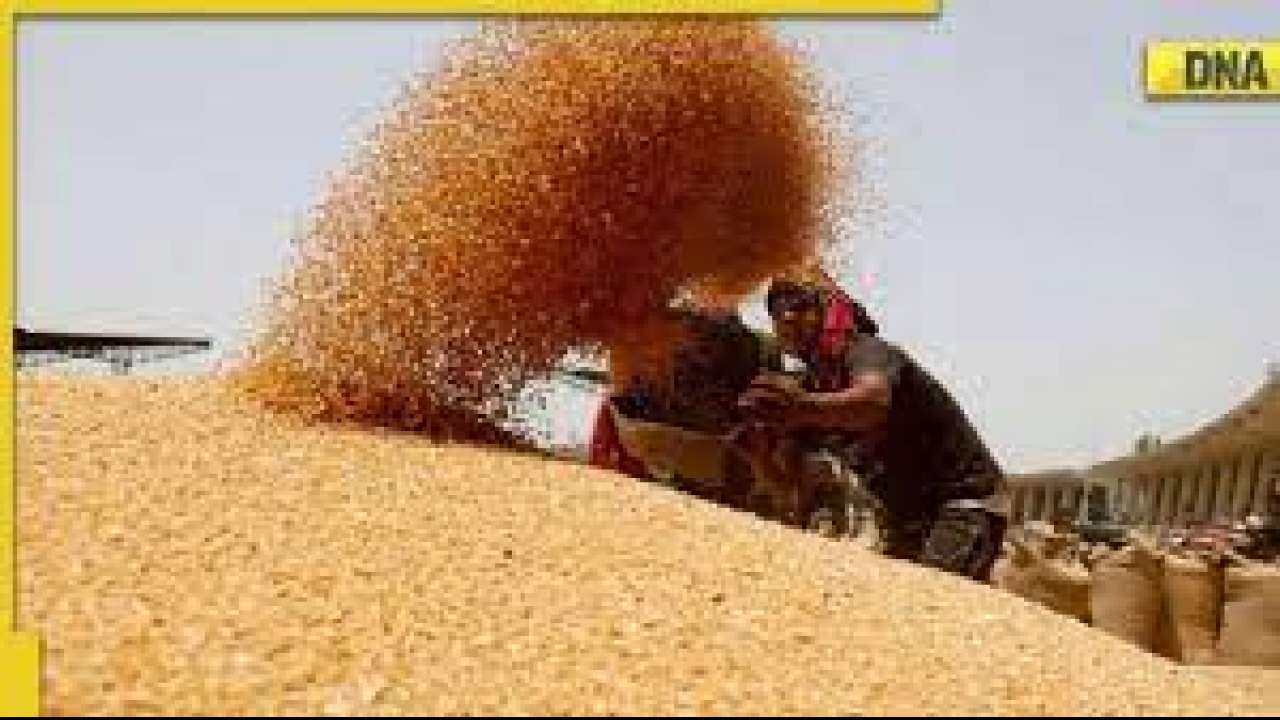 Explained: What is MSP? Centre hikes minimum support price of THESE ...