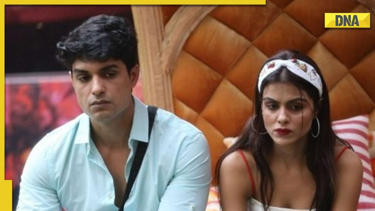 Bigg Boss 16: Priyanka Choudhary-Ankit Gupta confess feelings for each other