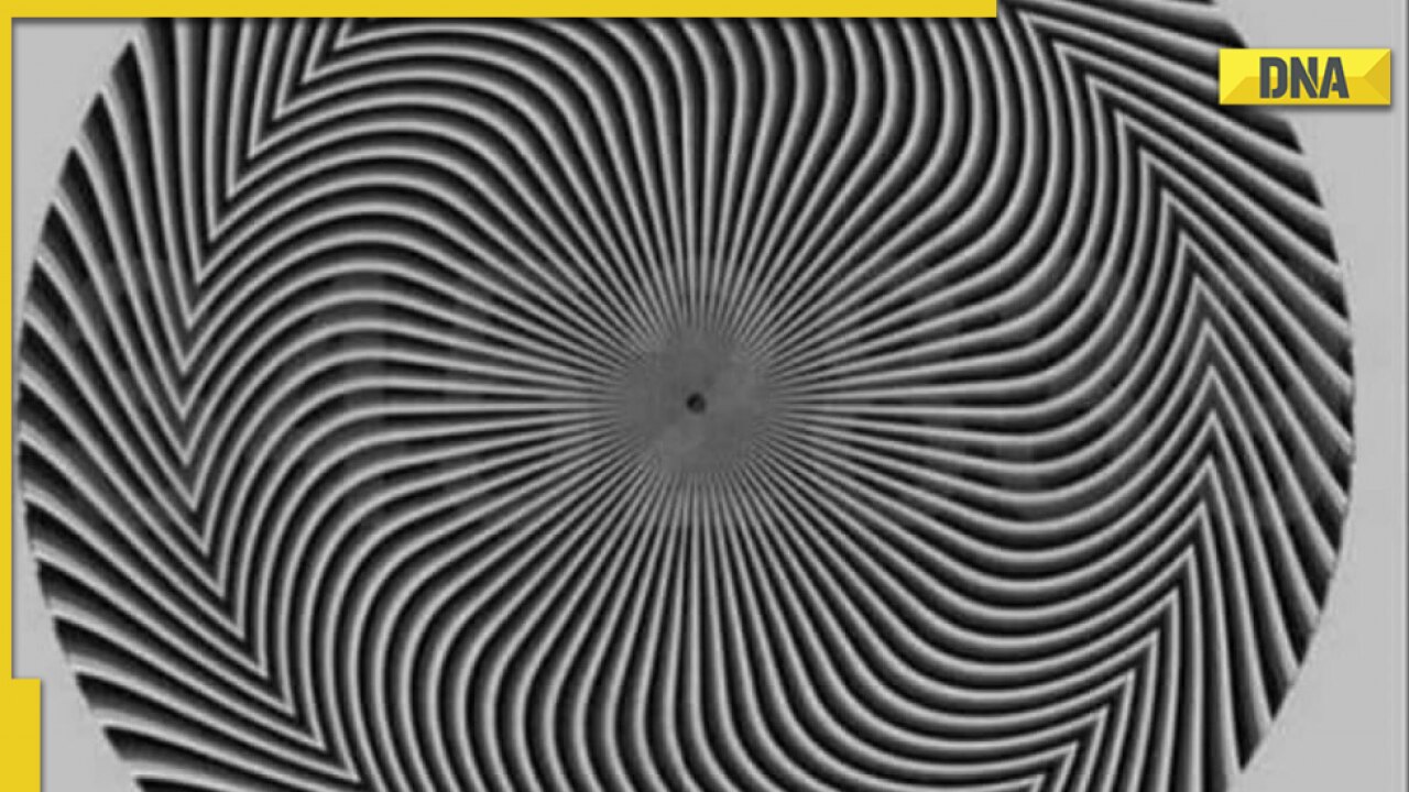 Optical Illusion Spot The Hidden Numbers In THIS Viral Image