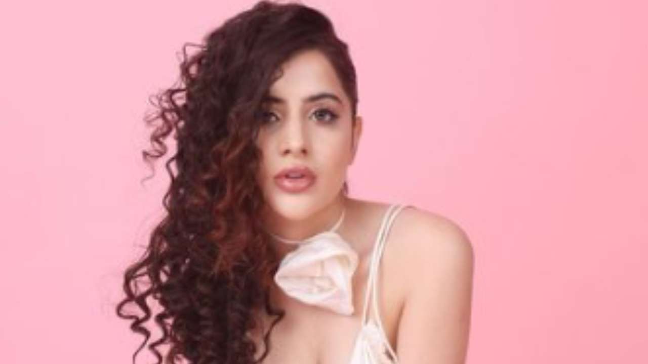 All you need to know about internet sensation Urfi Javed