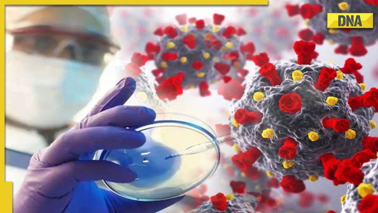 WHO publishes first-ever list of dangerous fungi, warns global health ...