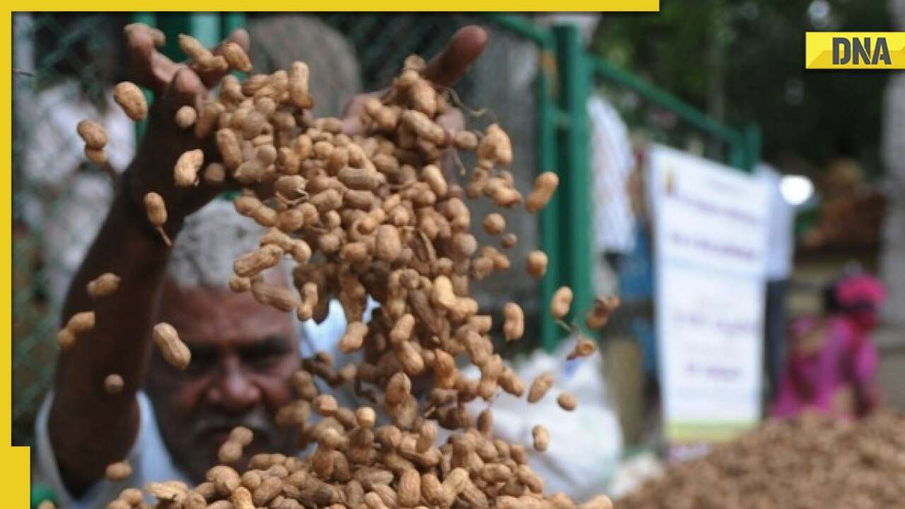 Peanuts: Health benefits of Moongfali to add in your diet