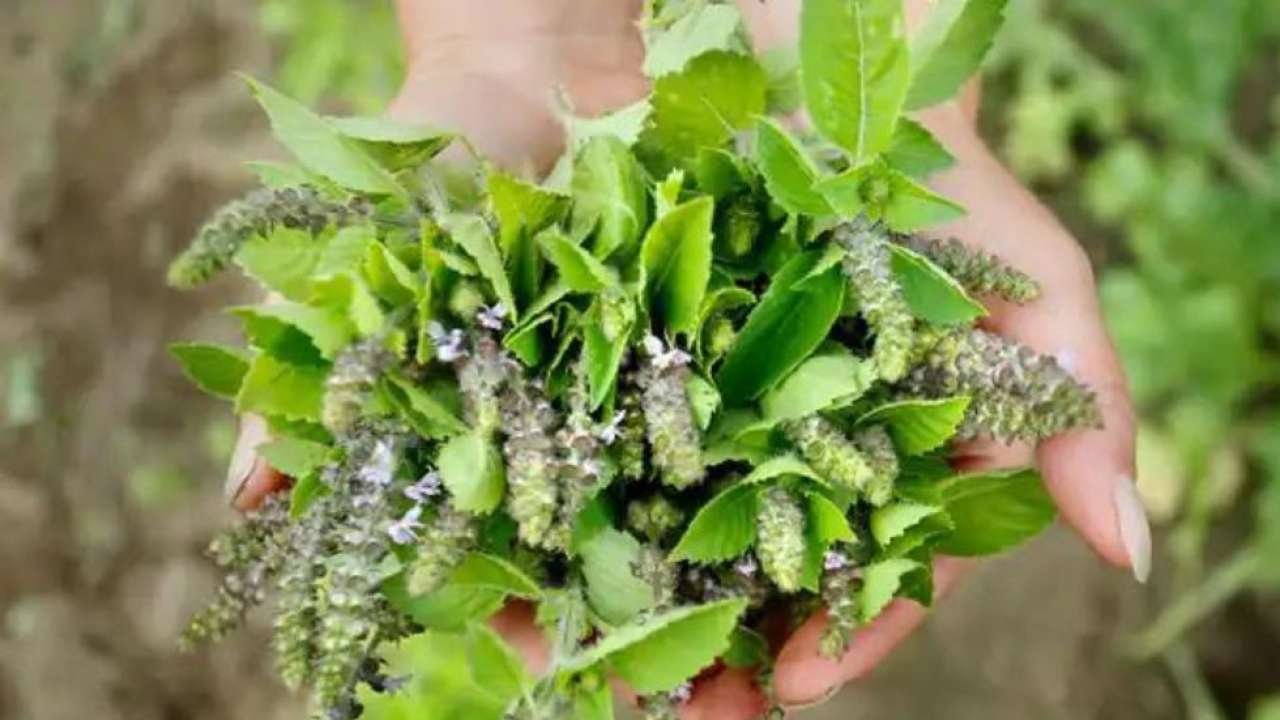 5 natural food items that will keep you healthy throughout this winter ...