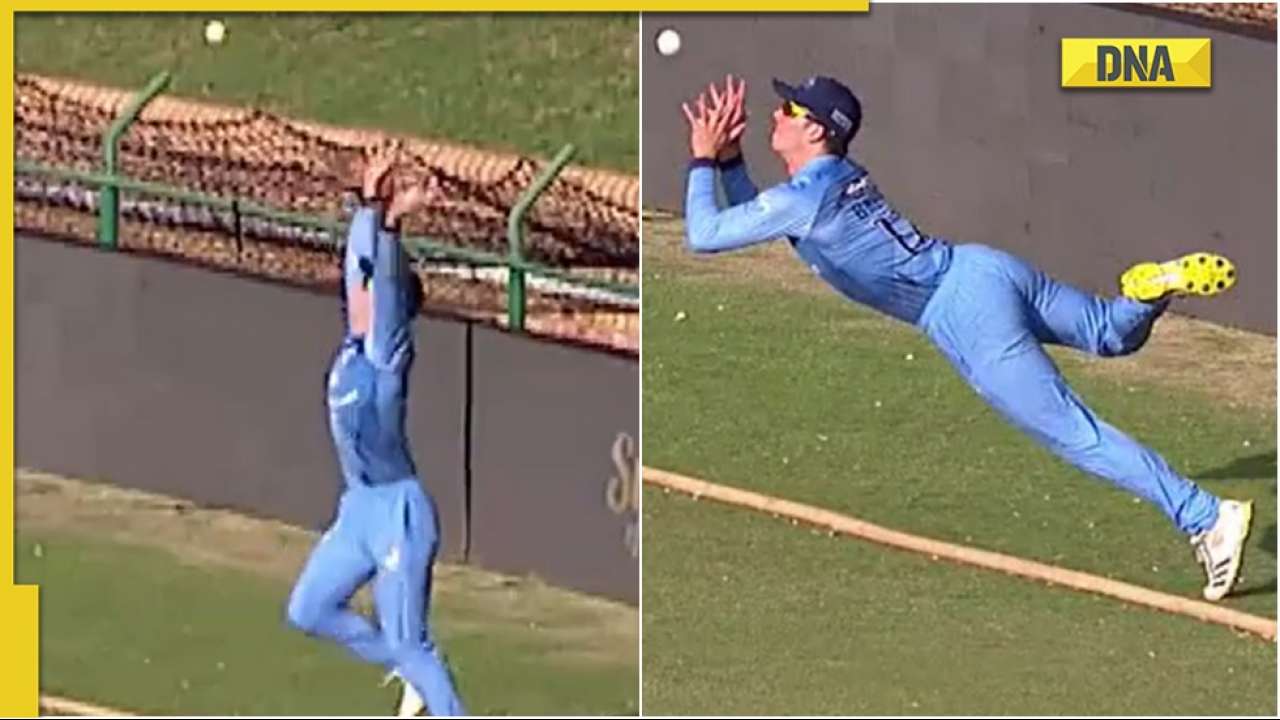 Dewald Brevis continues to shine, takes jaw-dropping catch after ...