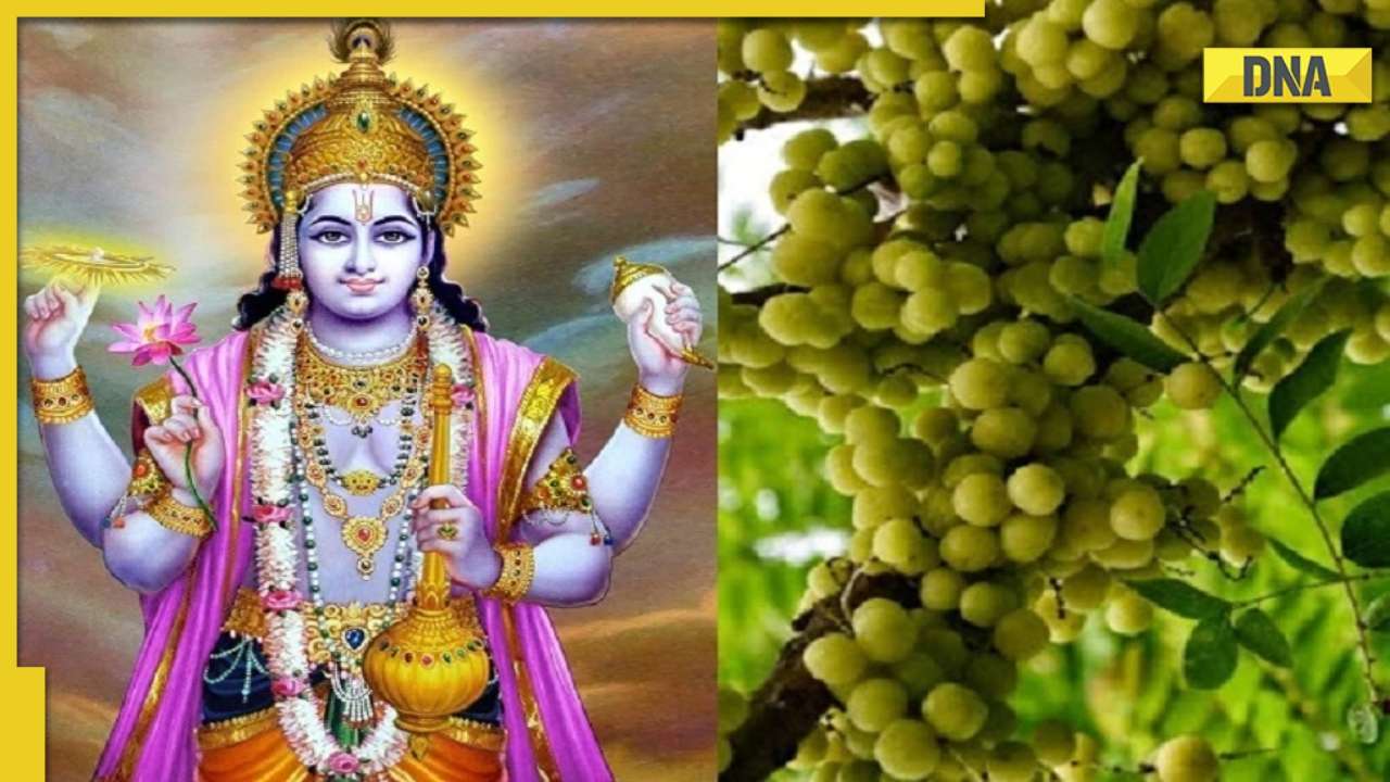 Akshaya Navami 2022: Know date, shubh muhurat, significance of ...