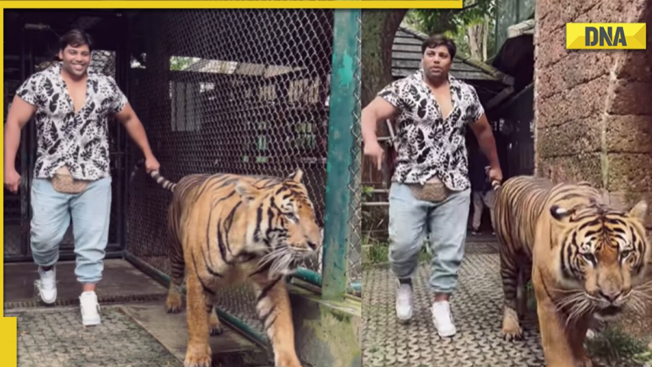 Indian Instagram influencer walks with tiger by holding its tail, viral ...