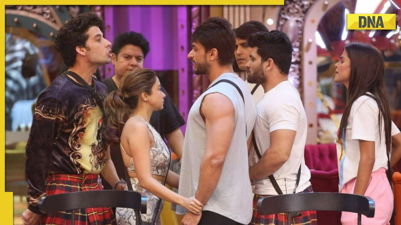 Bigg Boss 16: Shalin Bhanot-Gautam Vig get into verbal spat after ...