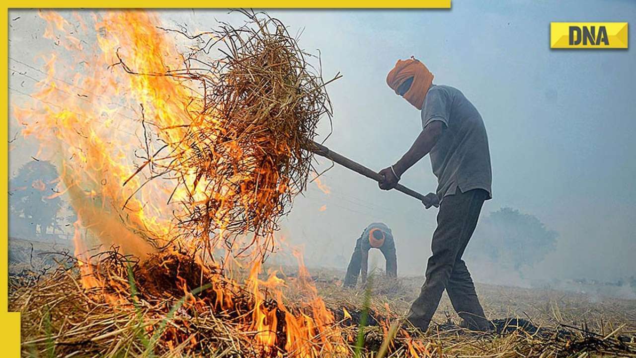 PM Kisan Yojana: Farmers involved in stubble burning will not receive funds, fine to be imposed