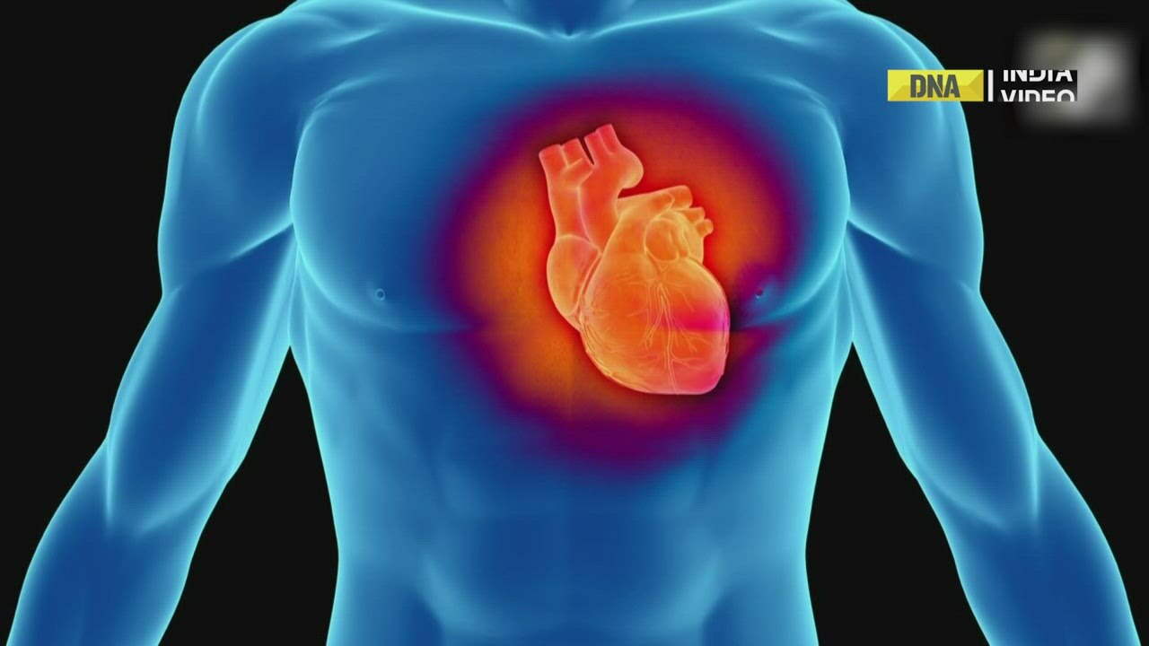 Study explains why adults’ hearts don't regenerate Study explains why adults’ hearts don't regenerate
