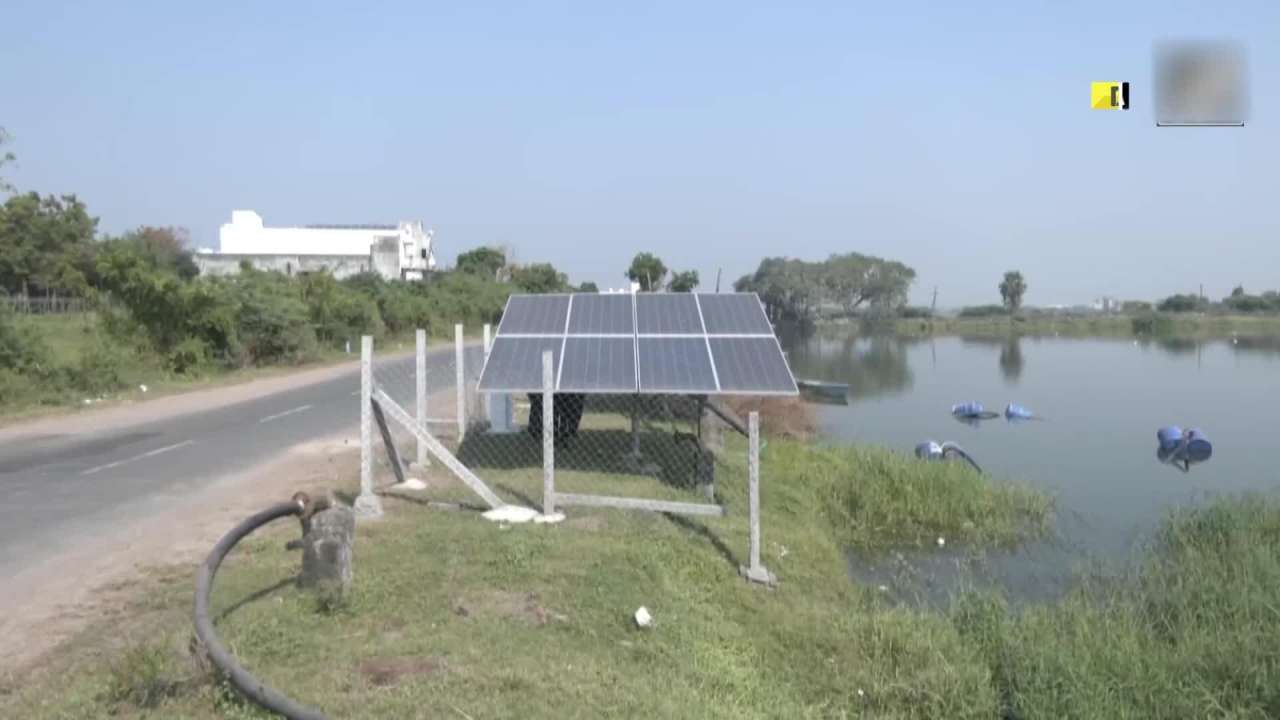 Solar-powered pumps being used for irrigation in Surat, Gujarat